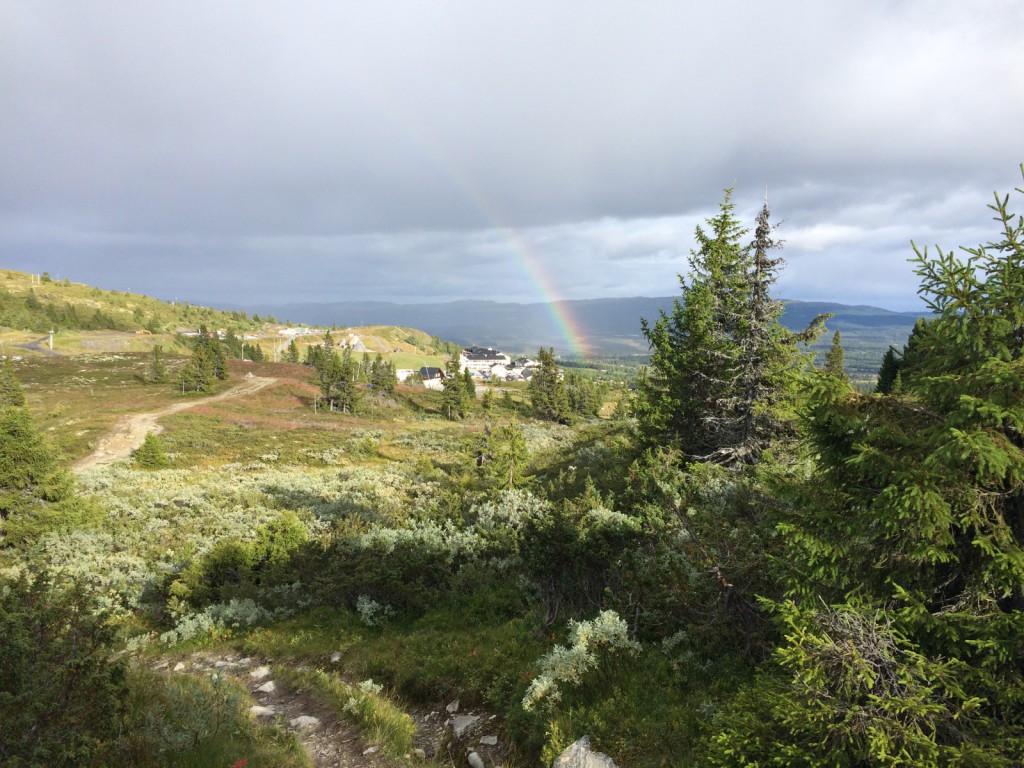 Storefjell Resort Hotell | Visit Gol