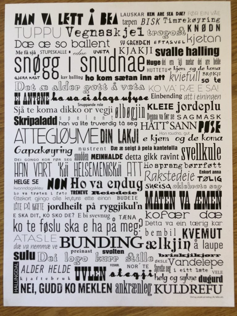 Ord og uttrykk på halling! | Visit Gol