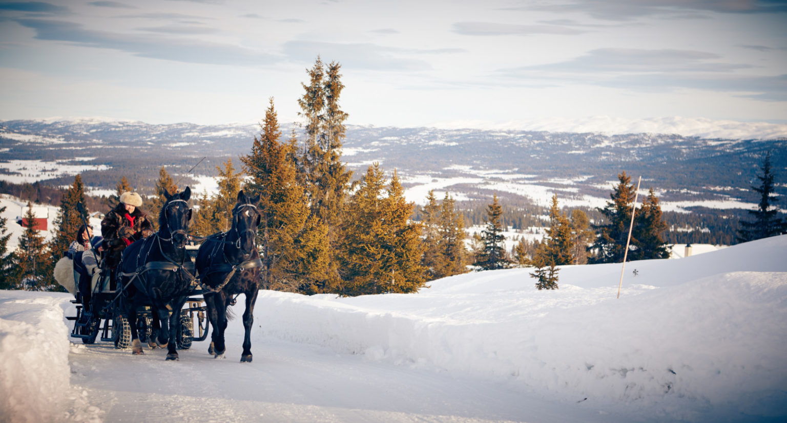 Storefjell Resort Hotell | Visit Gol